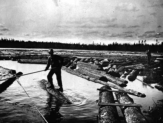 Breaking Up Logjams | SpinalColumnBlog